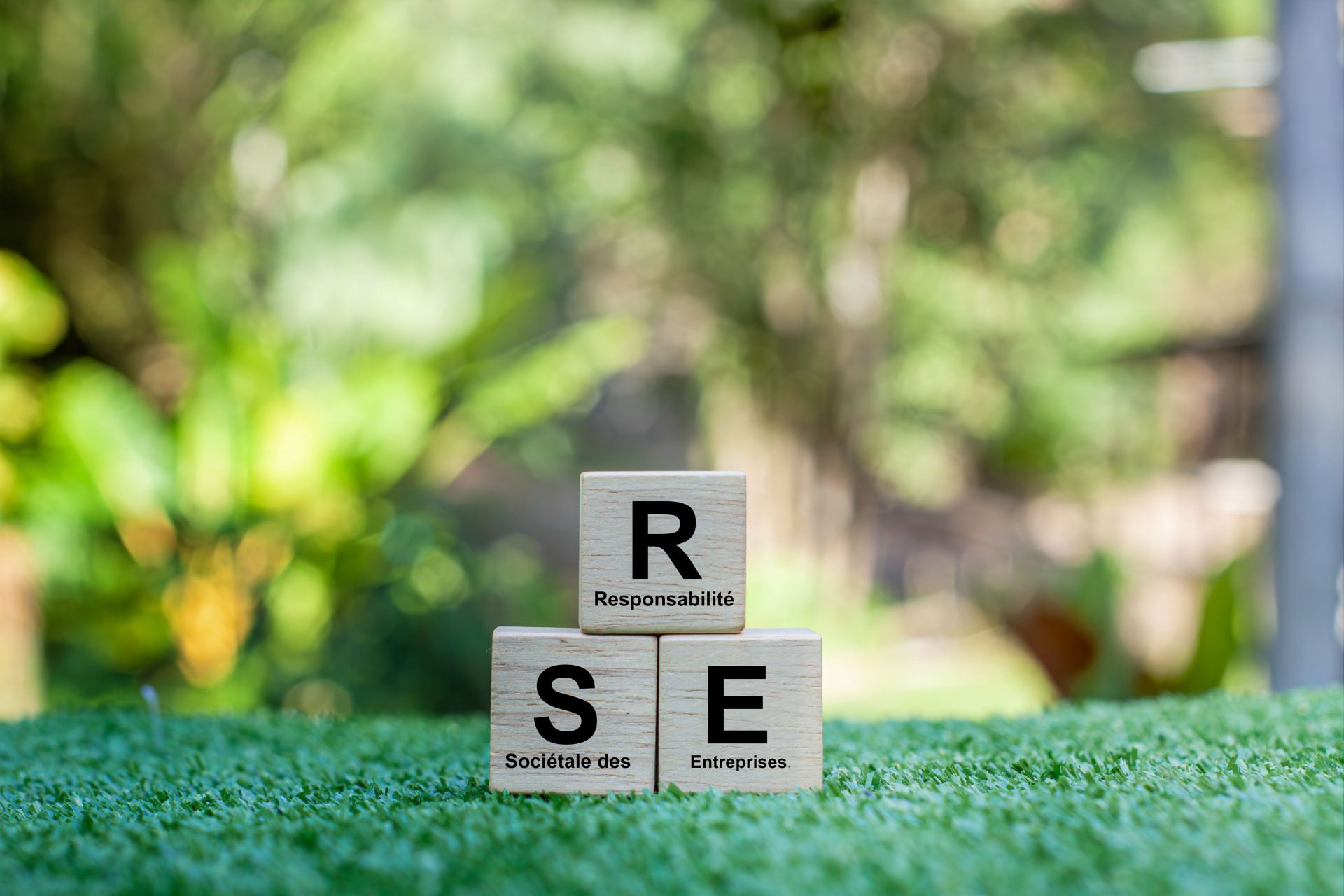 Mettre en place une Logique RSE dans son Entreprise | LE GUIDE